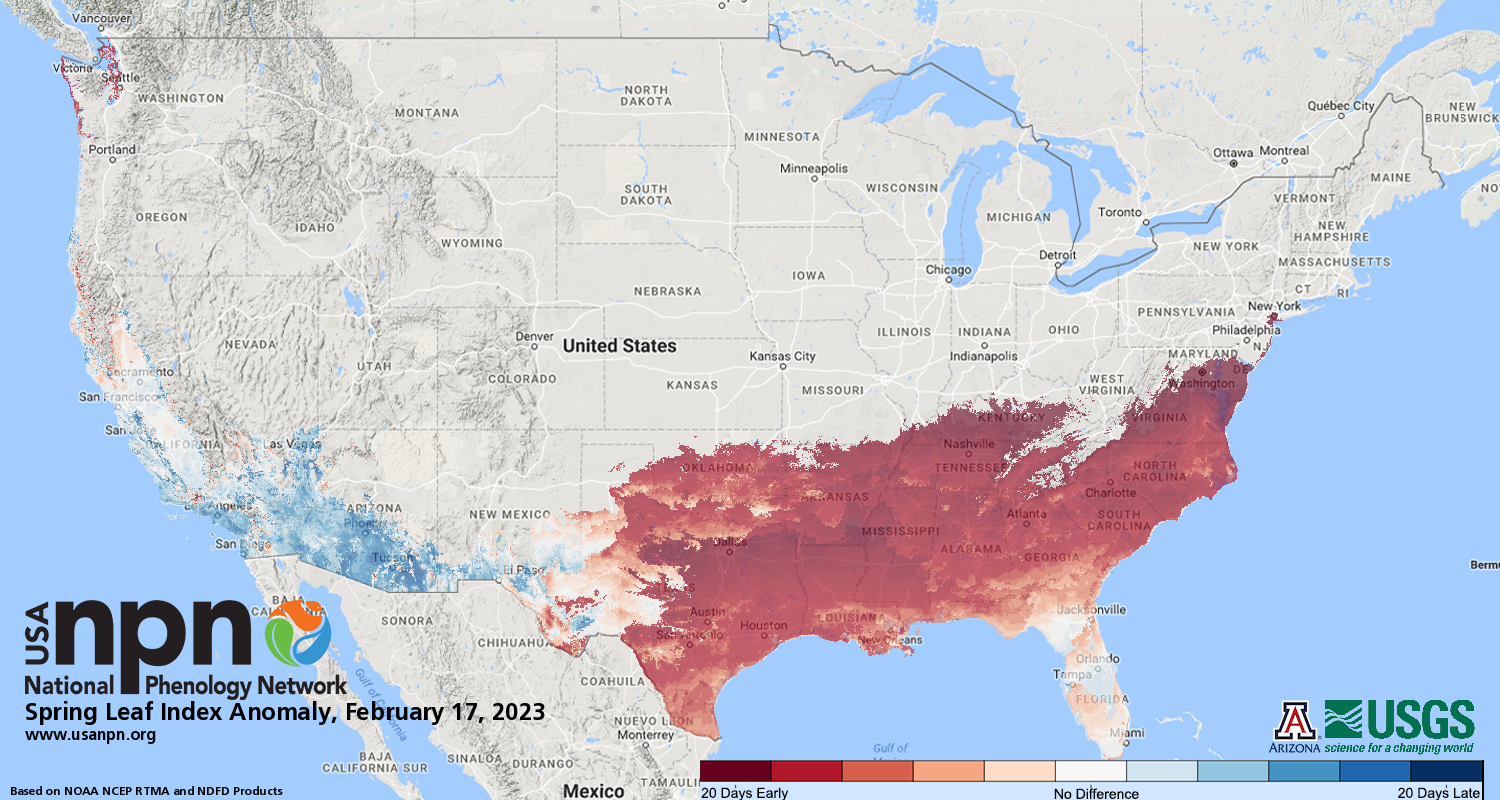 What's the impact of a warm winter in Virginia? From pollen to peaches.
