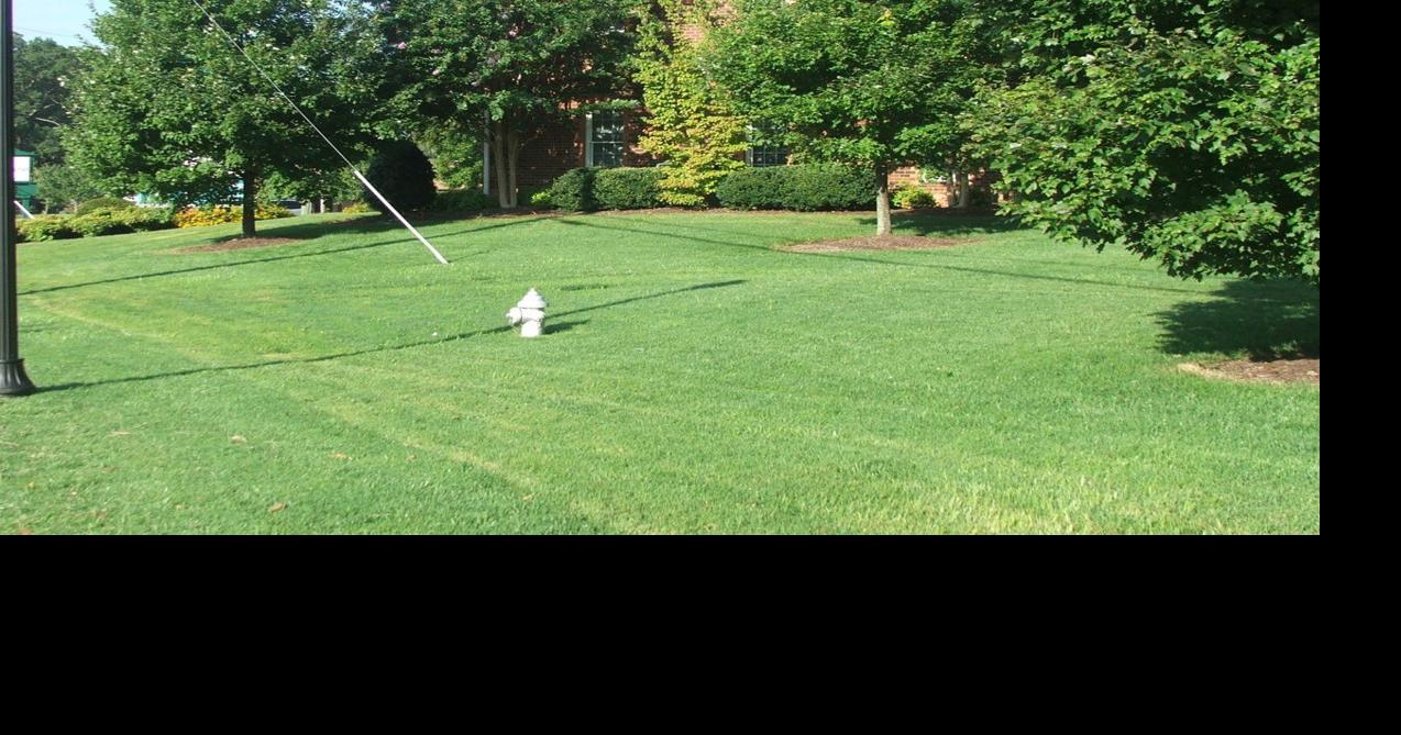 Gardening Q&A: Making use of native Bermuda grass in lawns, getting rid ...