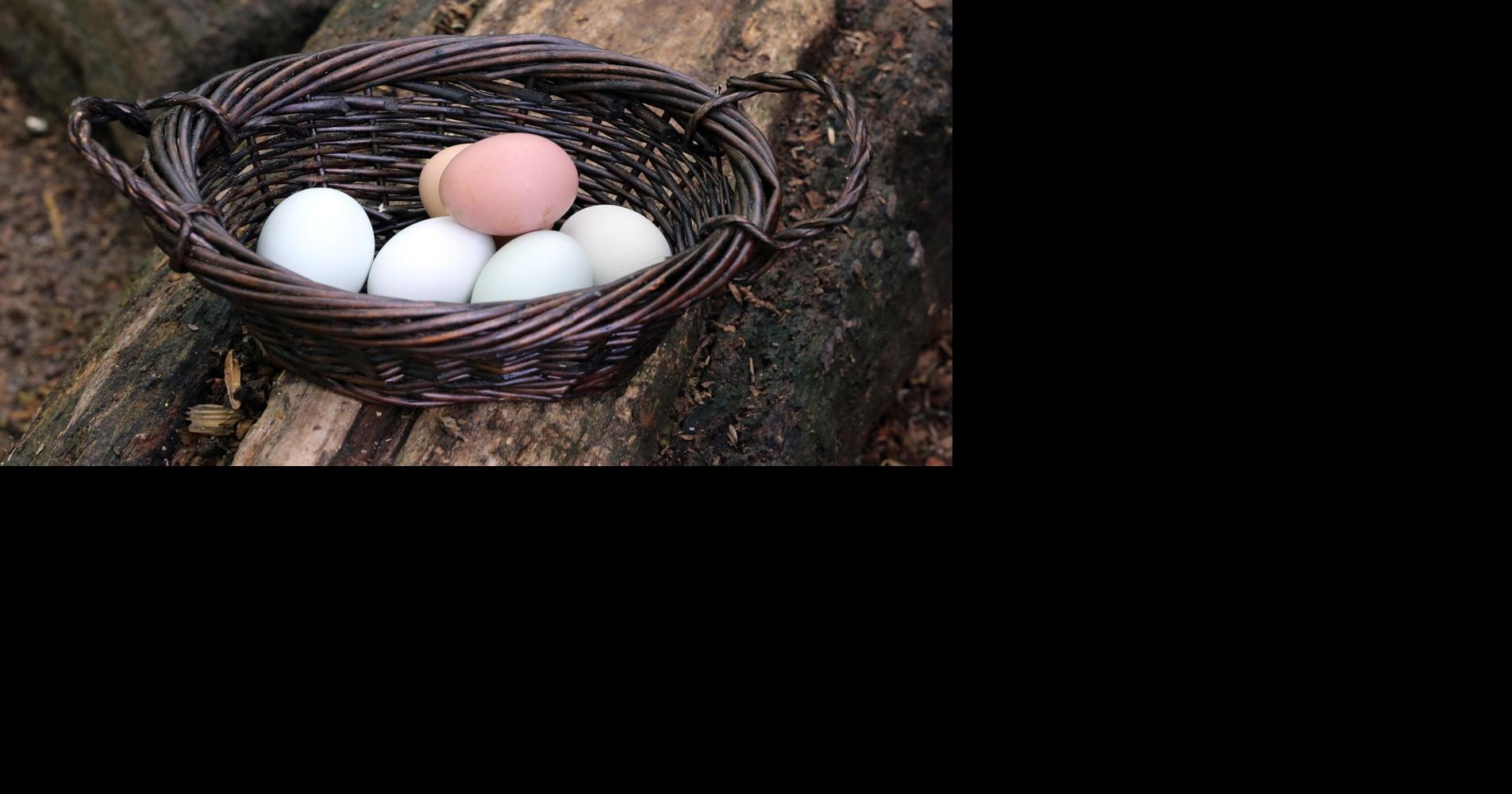 Clare's Kitchen: Eggs top the list of kitchen ingredients