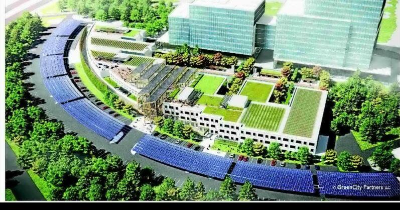 Green City adds Markel Eagle