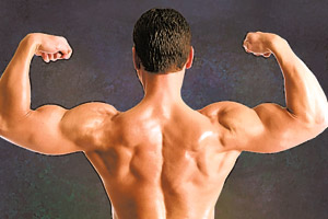 Understanding the difference between muscle and fat