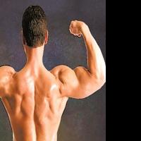 Understanding the difference between muscle and fat
