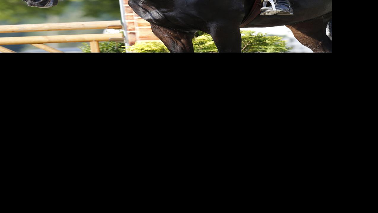 Deep Run Hunt Club set to host annual horse show | Sports | richmond.com