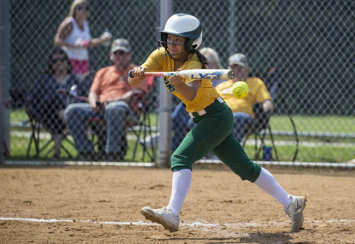 T-D Top 10 for softball: Clover Hill's stellar sophomores have the ...
