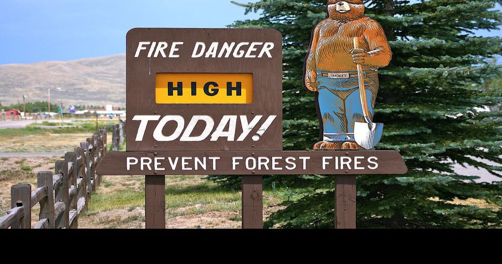 US resumes setting intentional fires in national forests after review