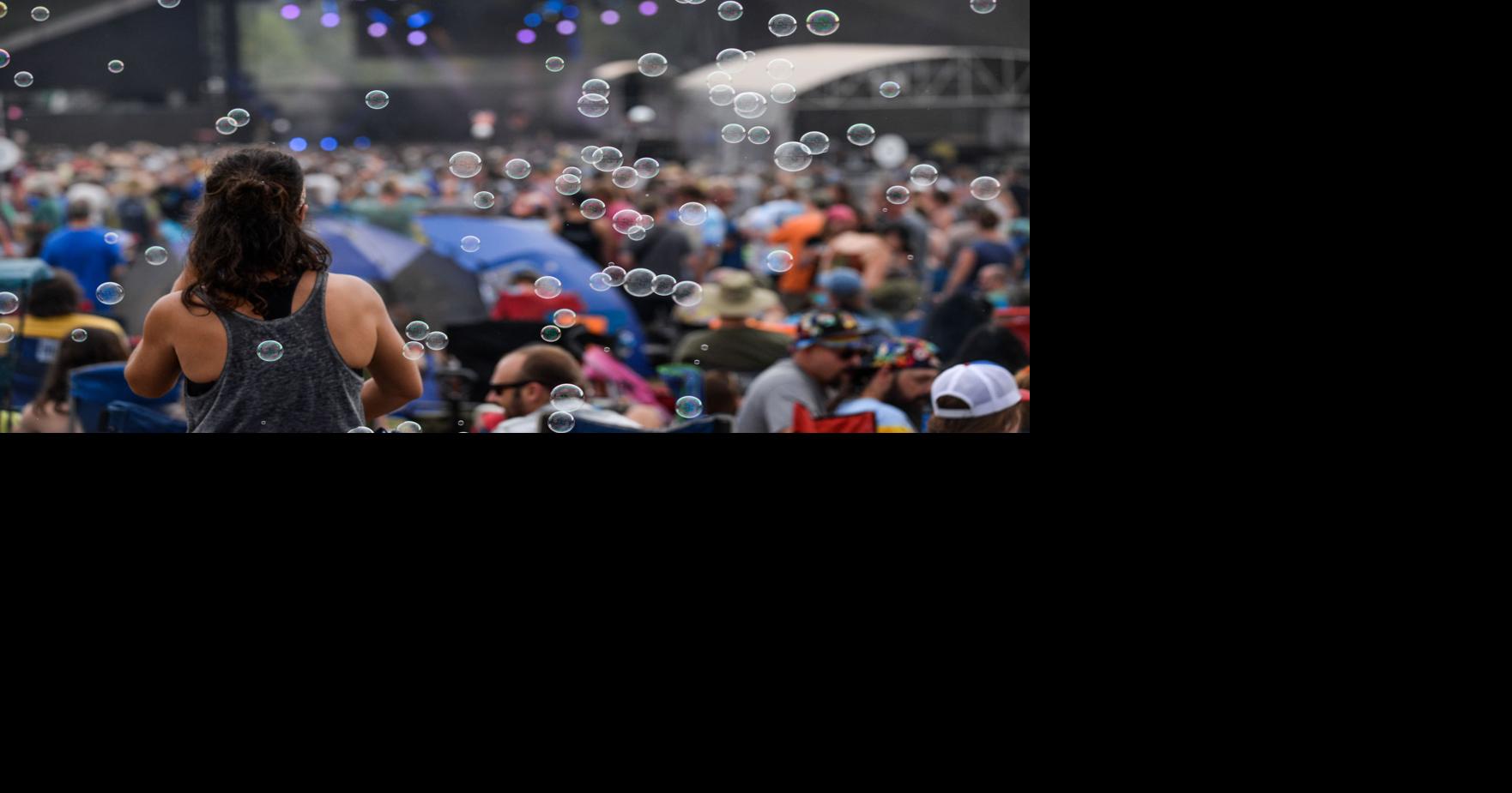 Lockn' music festival postponed until next year