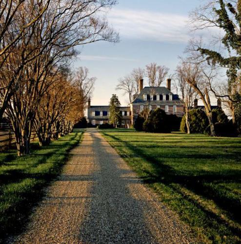 Carter’s Grove to be sold at auction