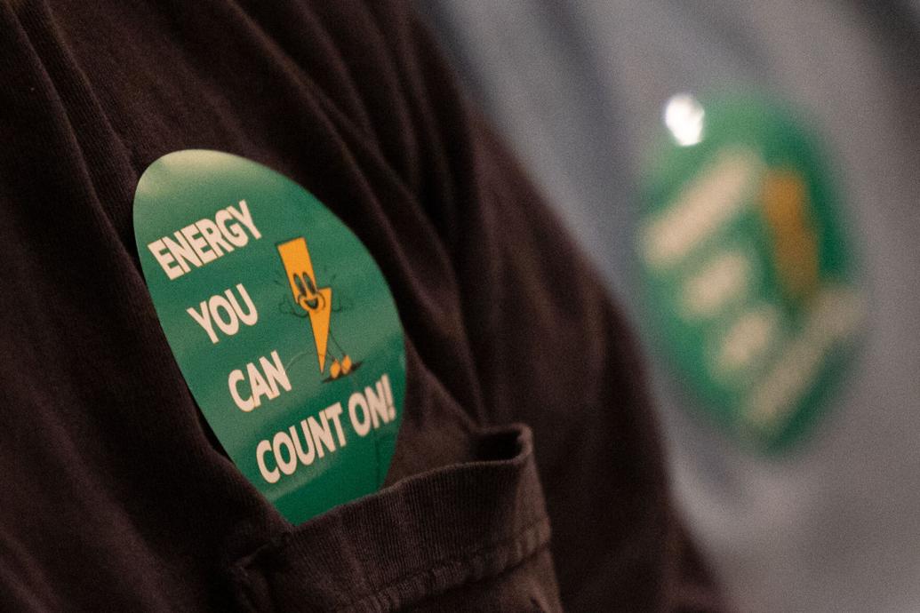 Va. governor-elect to name 'energy czar' on affordable power