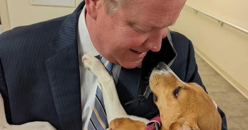 Warner, Kaine: Revoke Va. breeder's license for 'horrific' abuse of dogs