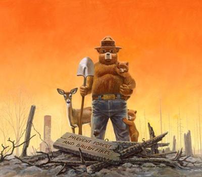 Editorial: Is Smokey's ad campaign causing forest fires?