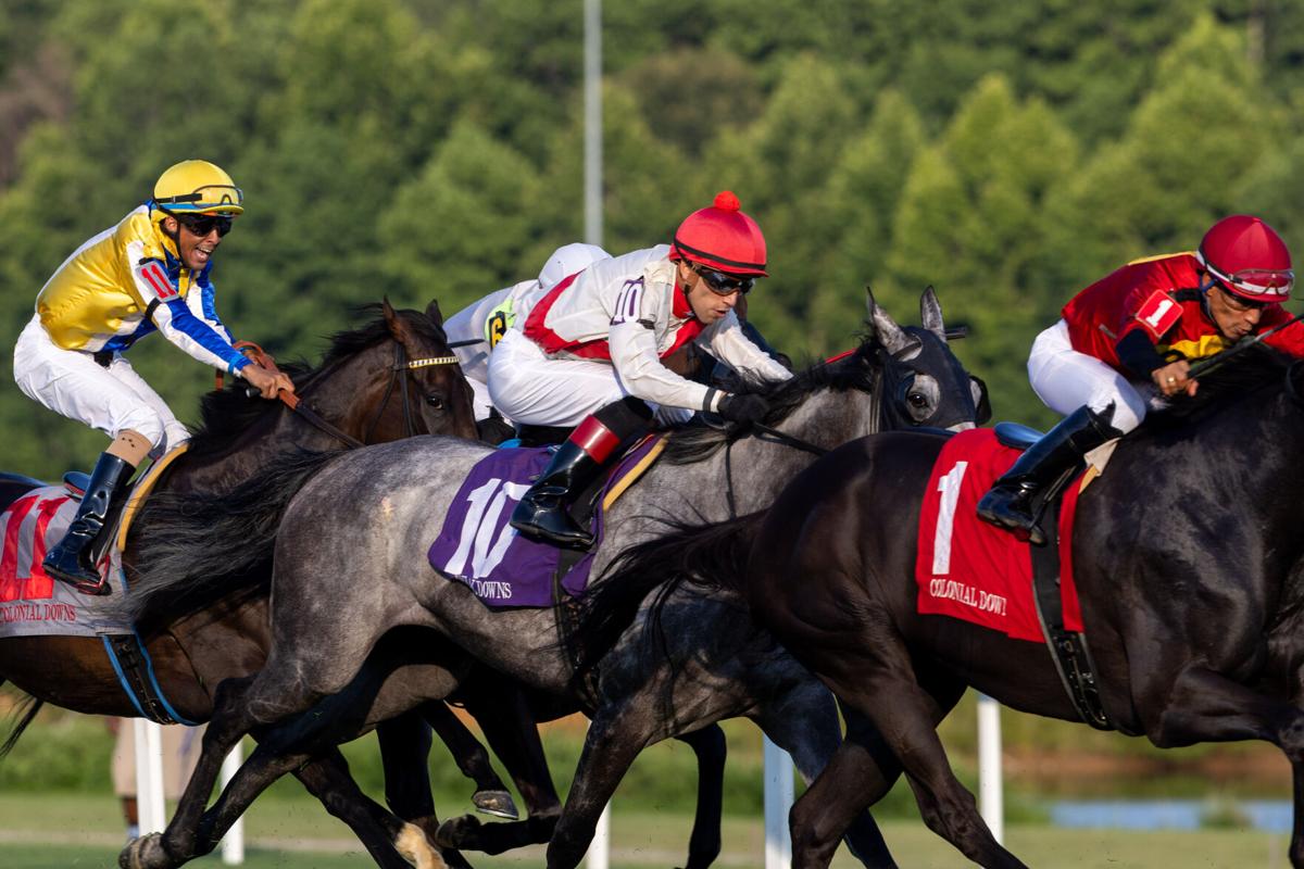 zebra racing colonial downs