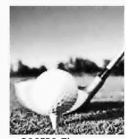 ROGERS, Thomas Raleigh