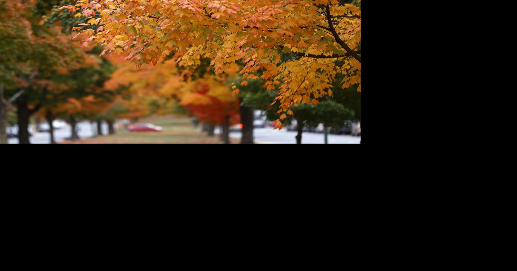 Fall foliage to peak early in Richmond