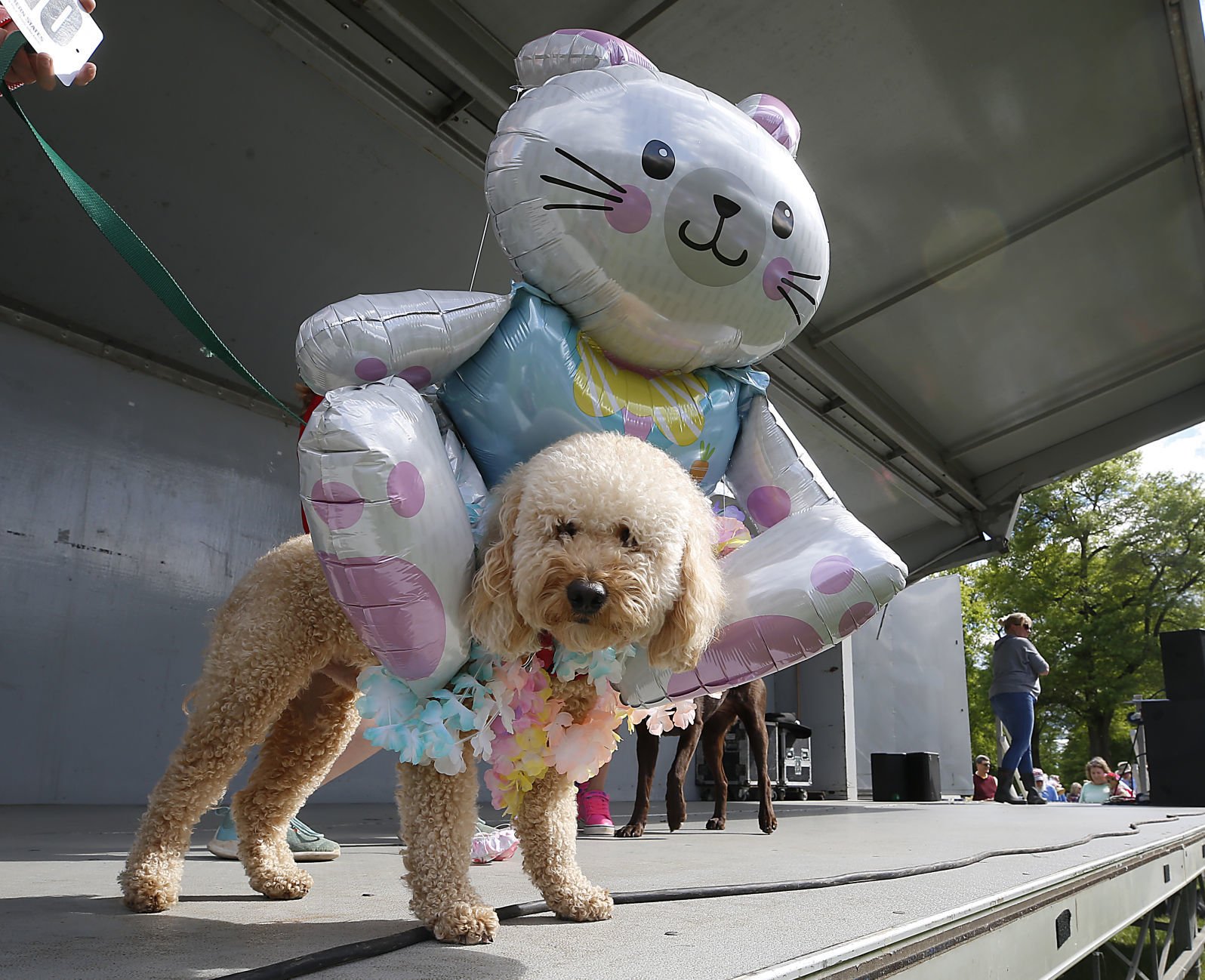 Easter on Parade will be held in 2025