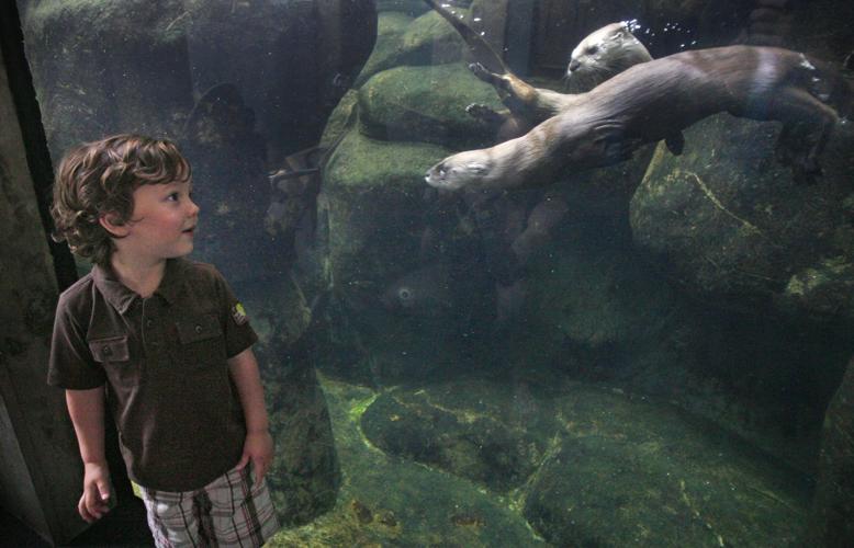 Pandora the otter dies at Maymont