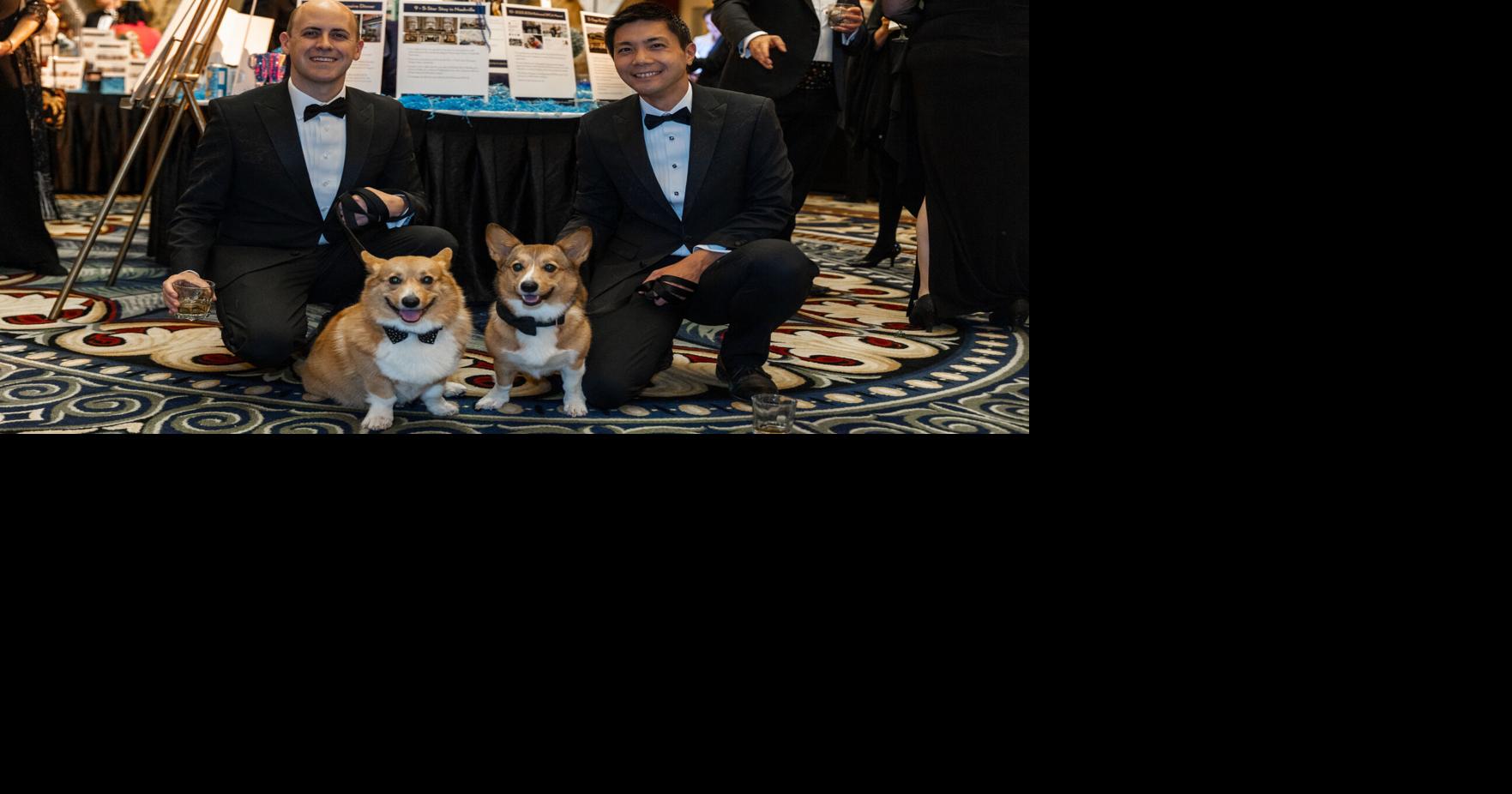 Photos from the 2023 SPCA Fur Ball gala.
