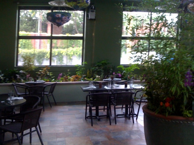 Selba Restaurant Review