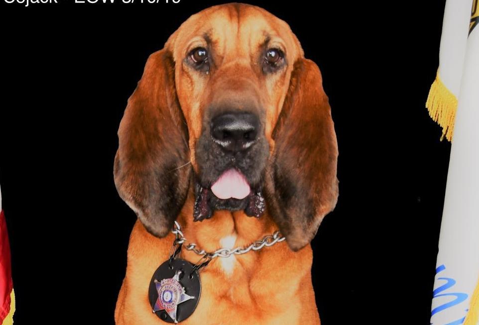 Hanover County Sheriff's Office mourning loss of police dog Cojack