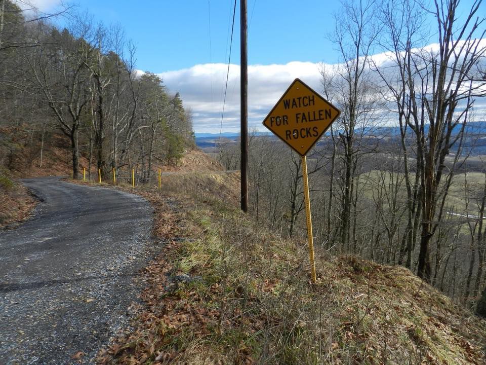 6 puppies found shot, discarded over embankment in Augusta County
