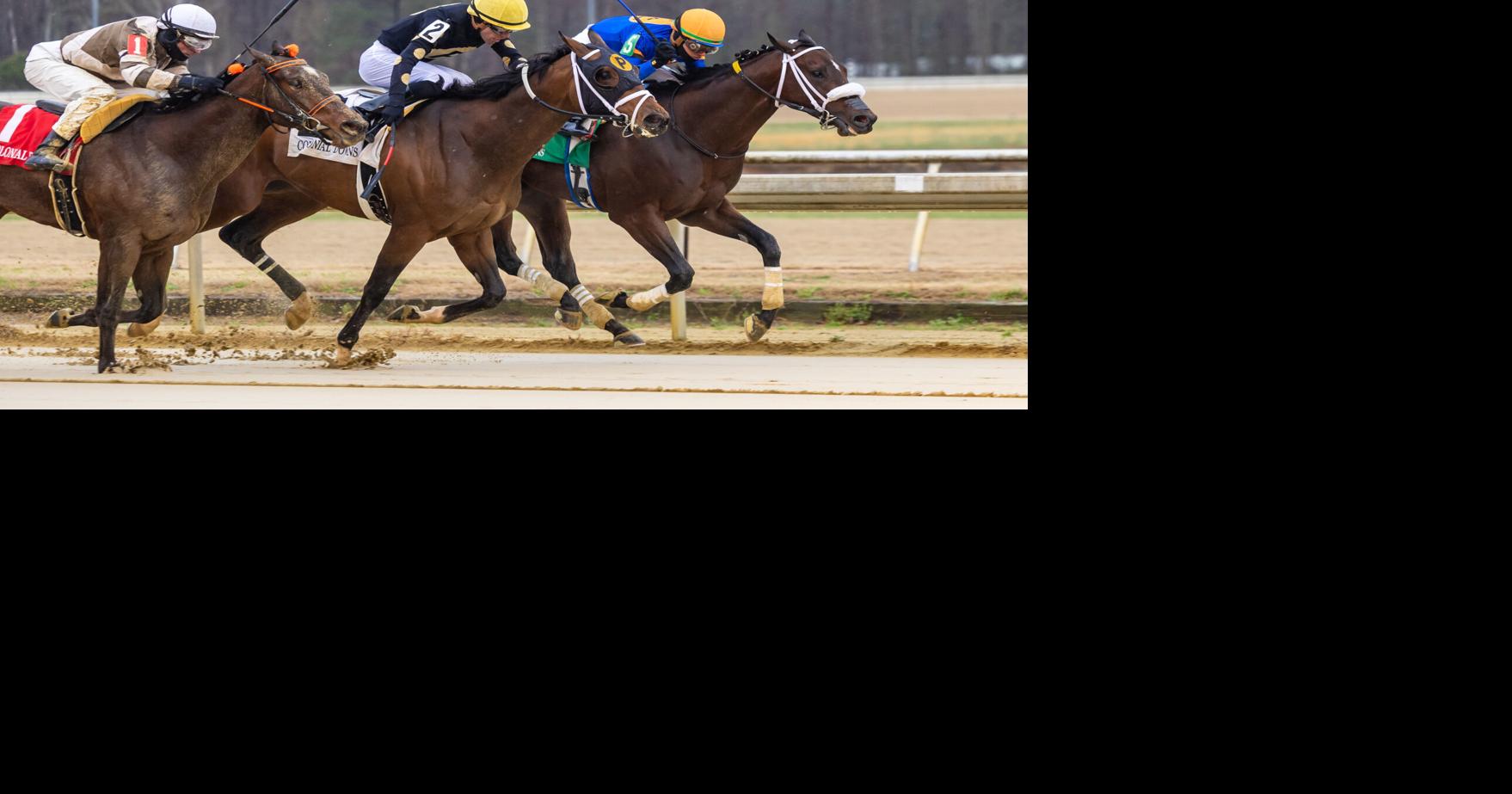 2026 Virginia Derby at Colonial Downs