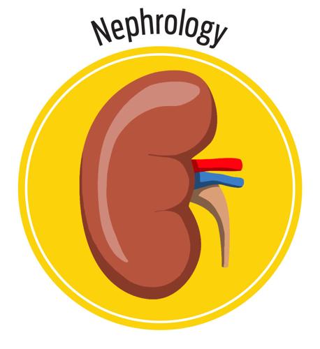 What's up, doc? Nephrologist spotlights kidney therapies and technology