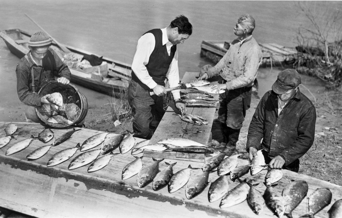 From the archives: Pamunkey tribe