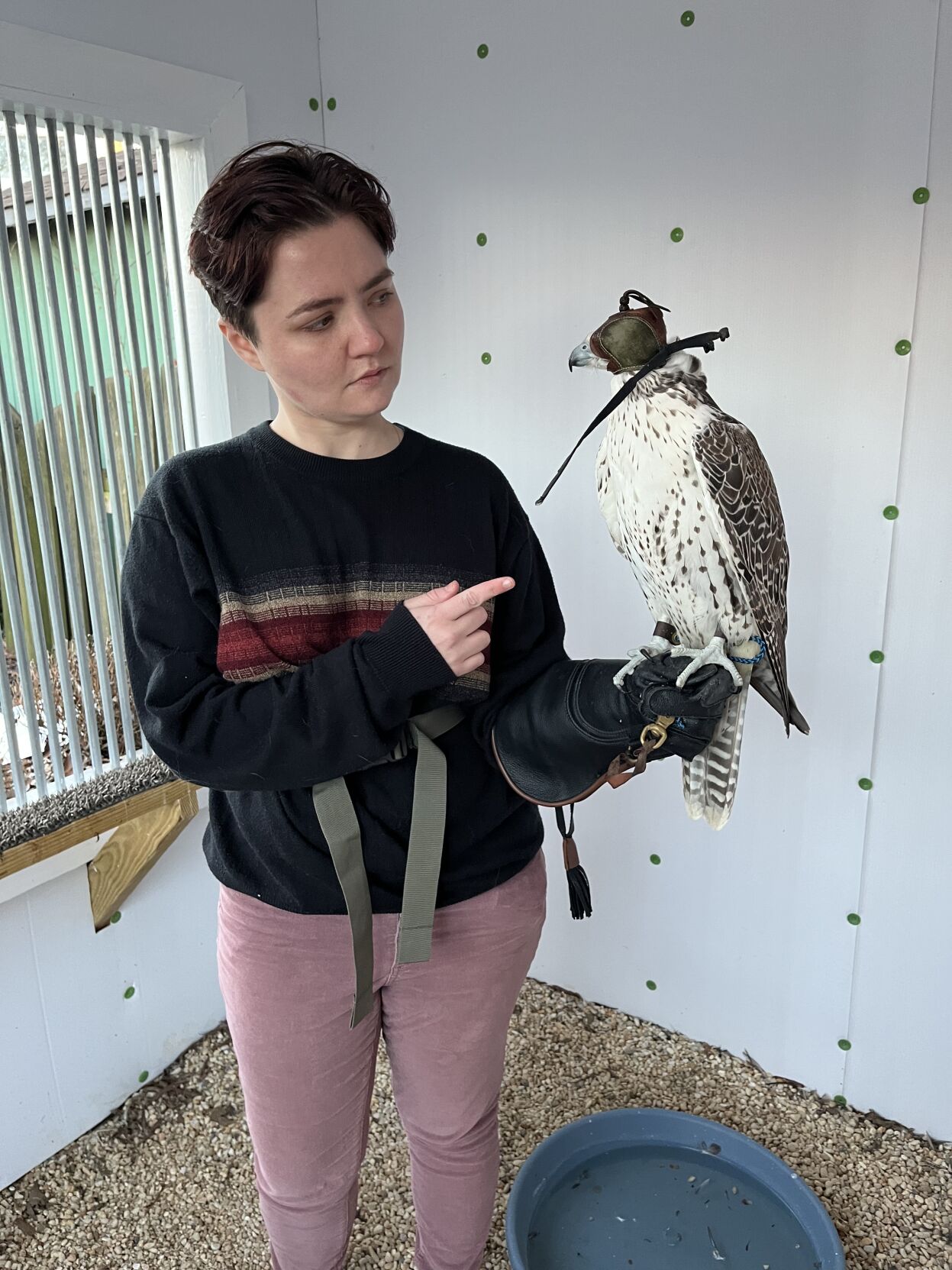 Exotic animal ban considered by Richmond City Council