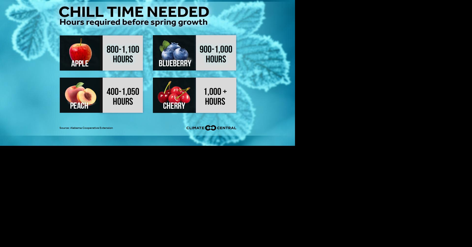 Slow warm up after temperatures starting off near record cold levels