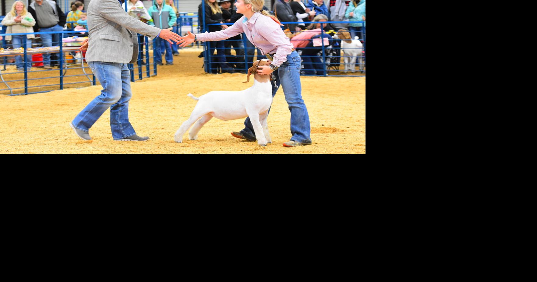 Go for it! The thrill of winning a Blue Ribbon at the State Fair of ...