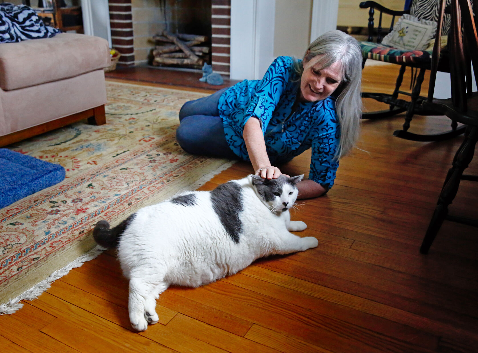 Virginia's 35-pound fat cat goes viral