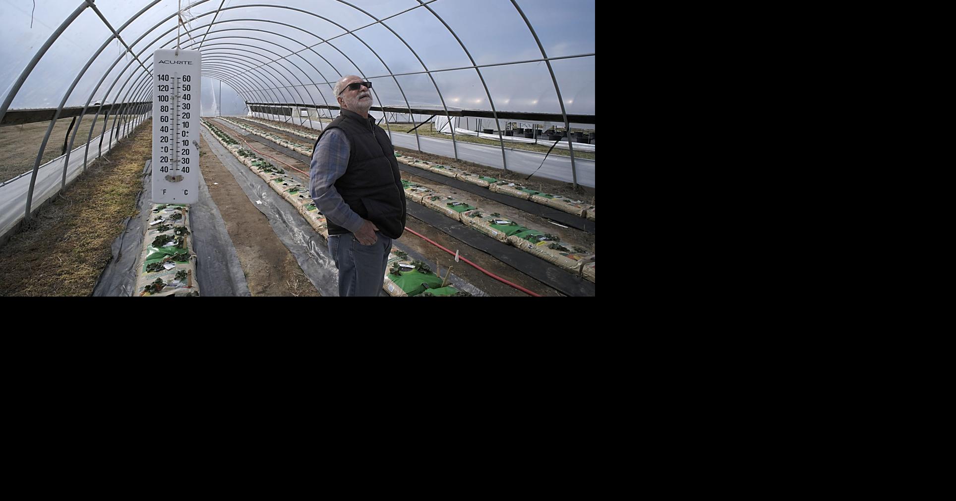 VSU's Randolph Farm is fertile ground for research and support