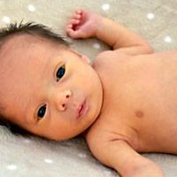 Colton Dean Breedlove