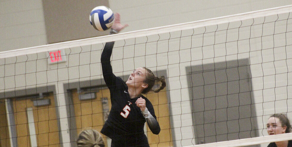 Flippo finds her dream school