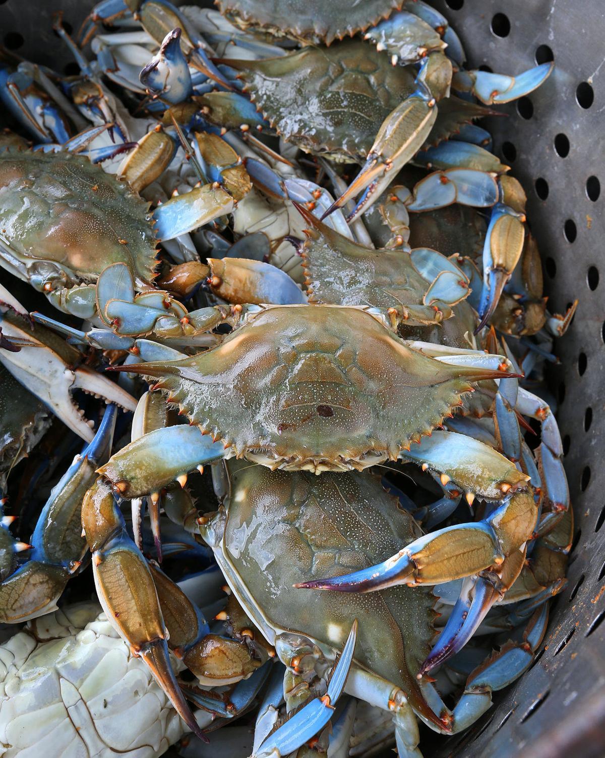 Where to find fresh, steamed crabs in Richmond | Restaurant News ...