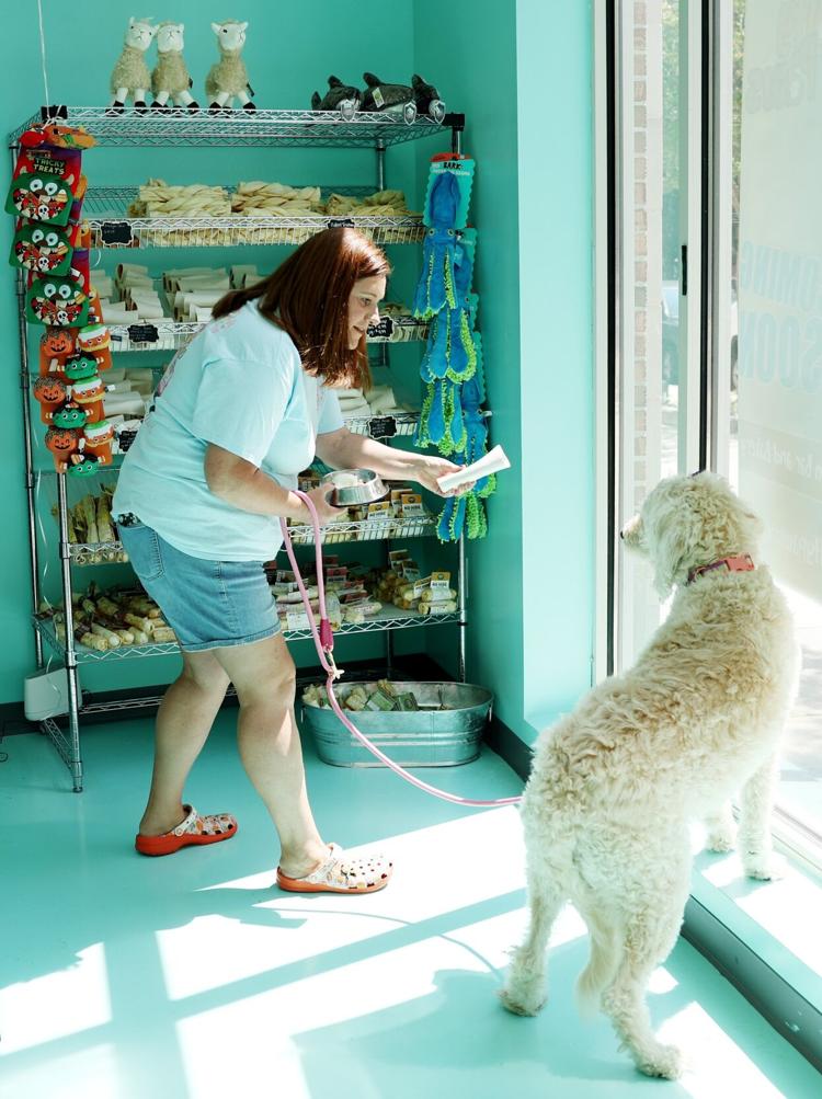 Salty Paws, Richmond doggie ice cream bar and food truck