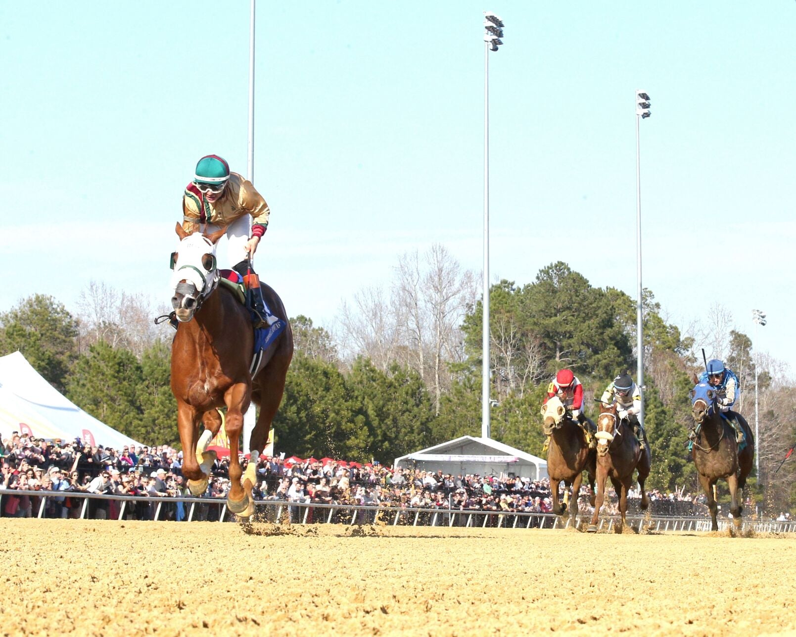 Virginia Derby, spring races a hit for fans — and horses