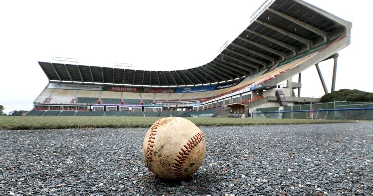 flying squirrels baseball camp