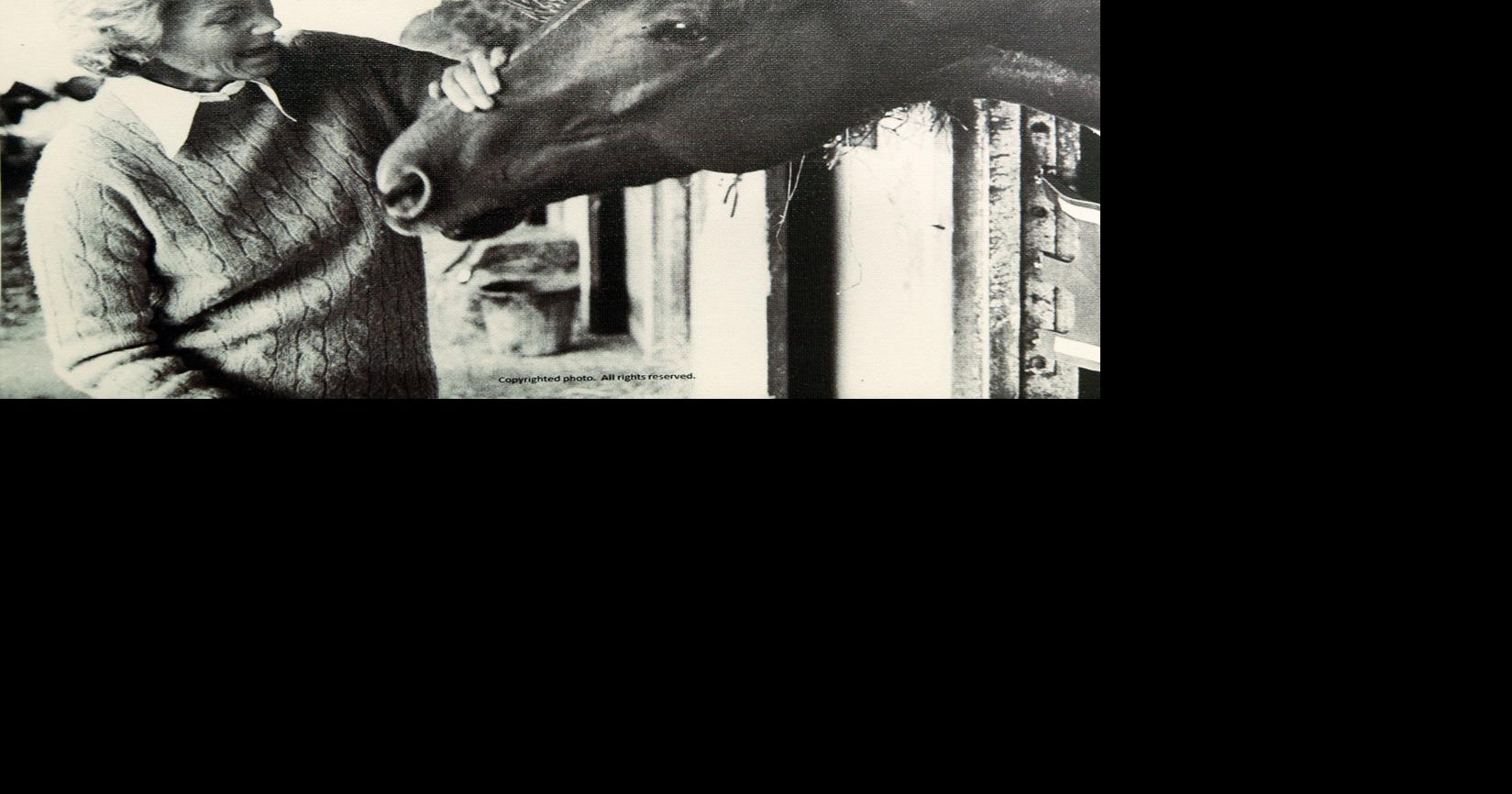 Secretariat's barn seeks renovation, enhancements for famed horse's ...