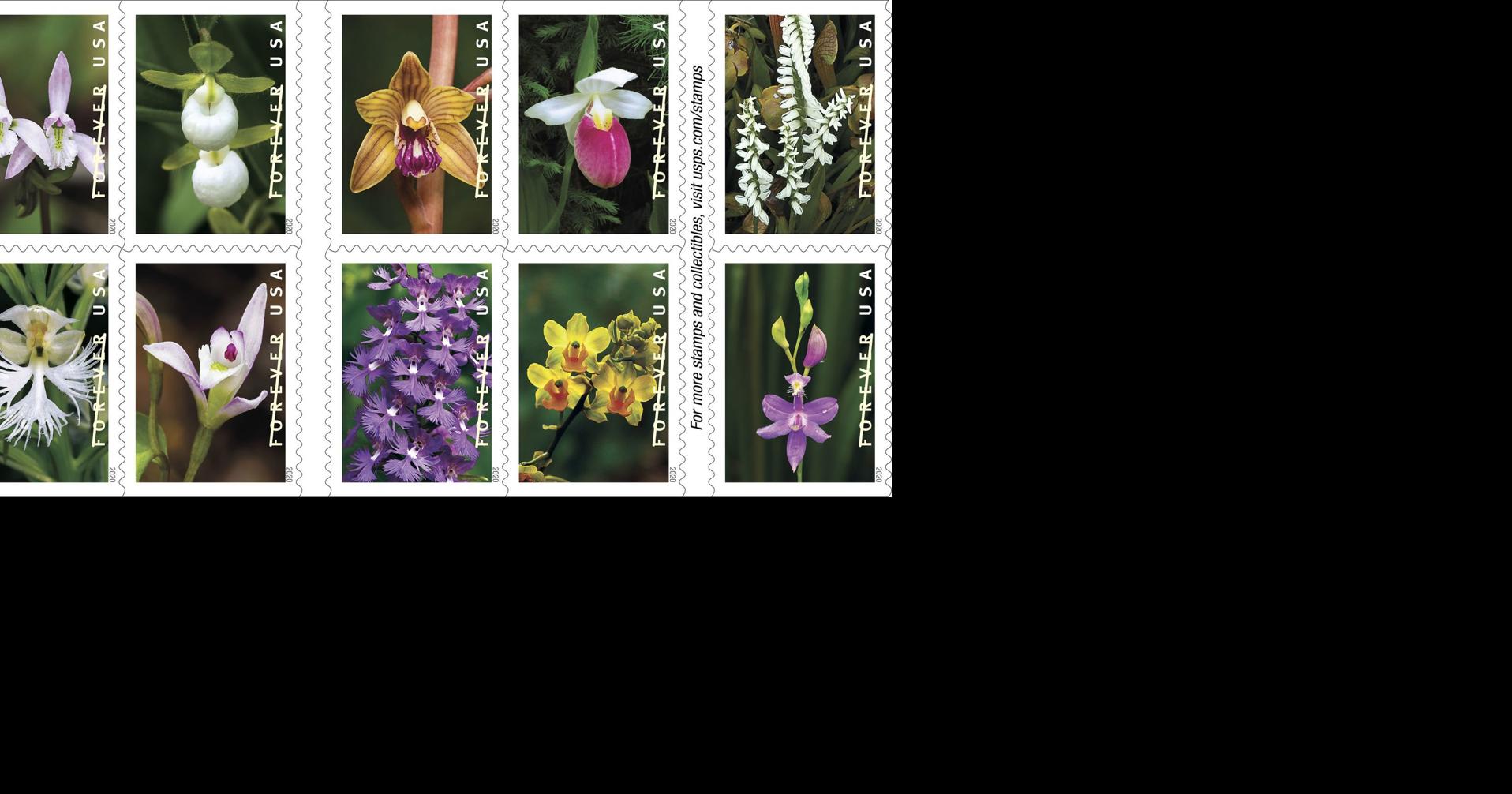 Orchids: Stamps show beauty, plight of wild orchids