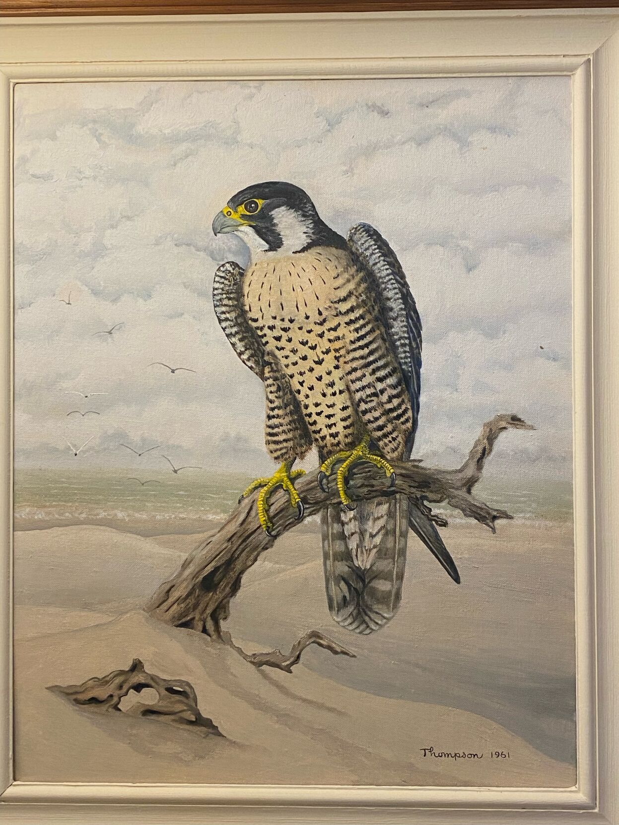 Exotic animal ban considered by Richmond City Council