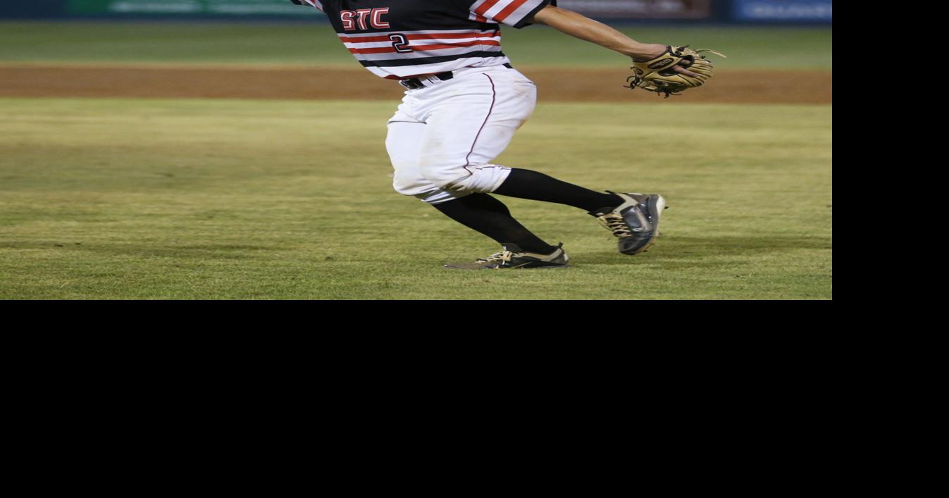 The 2018 All-Metro baseball team