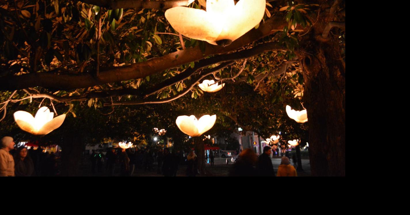 InLight 2015 expands to two nights