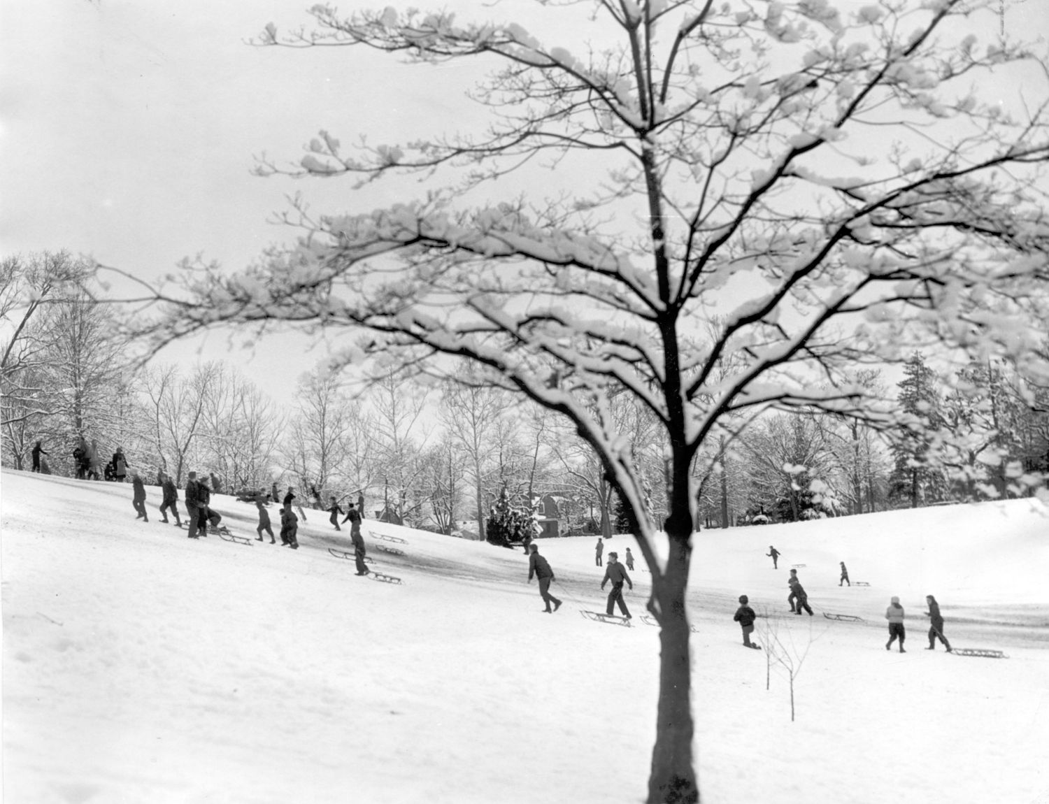 How much snow fell in Richmond, Virginia