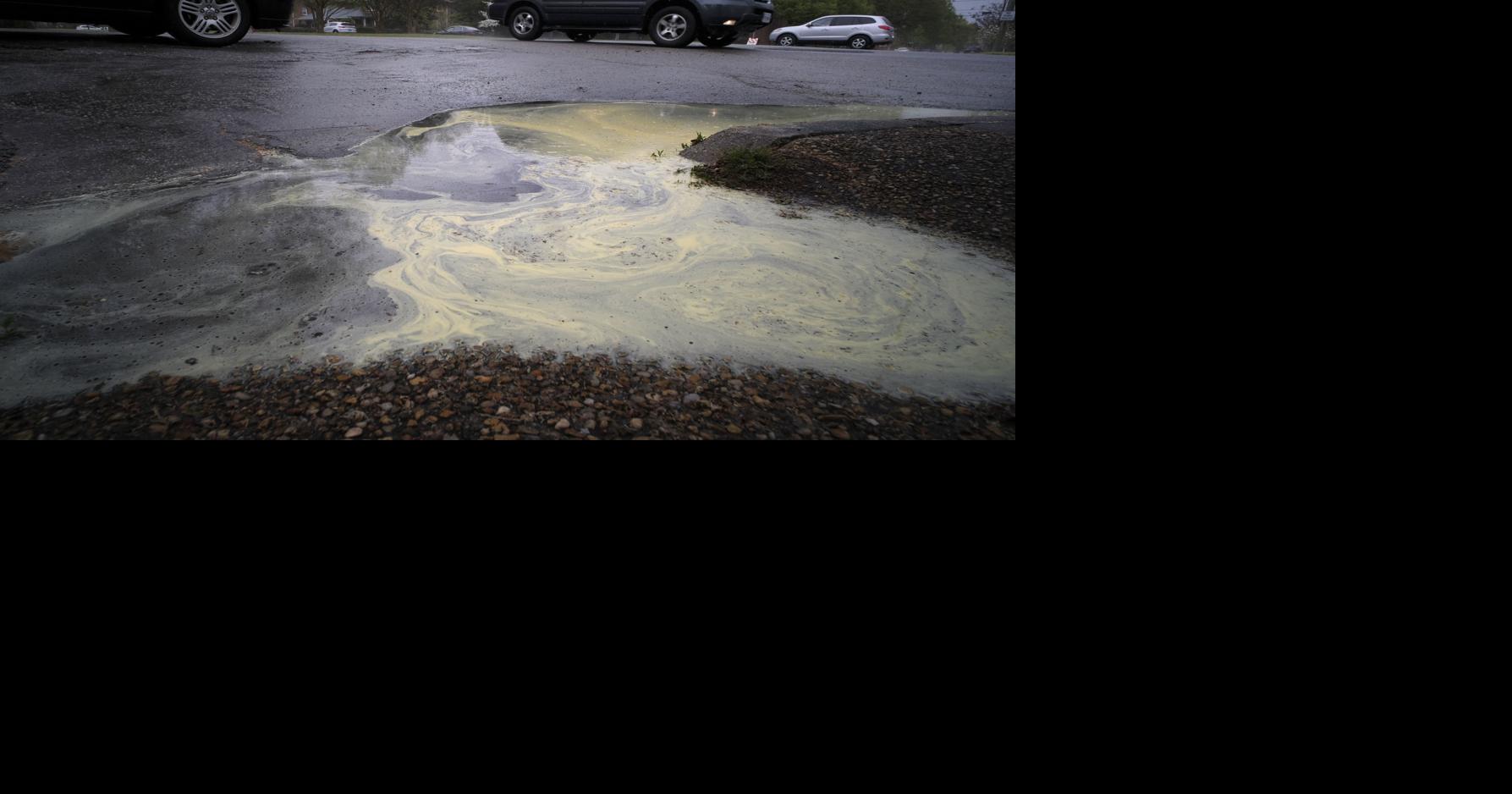 Richmond's tree pollen spiked higher than usual on Friday. It was the ...