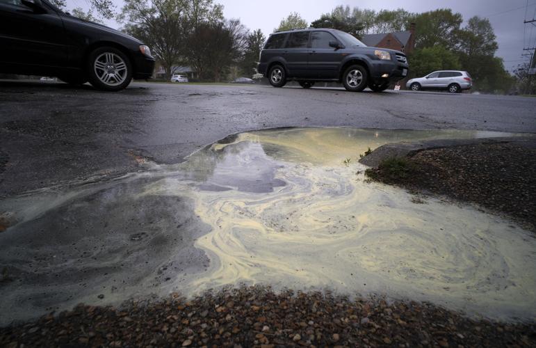 Richmond's tree pollen spiked higher than usual on Friday. It was the ...
