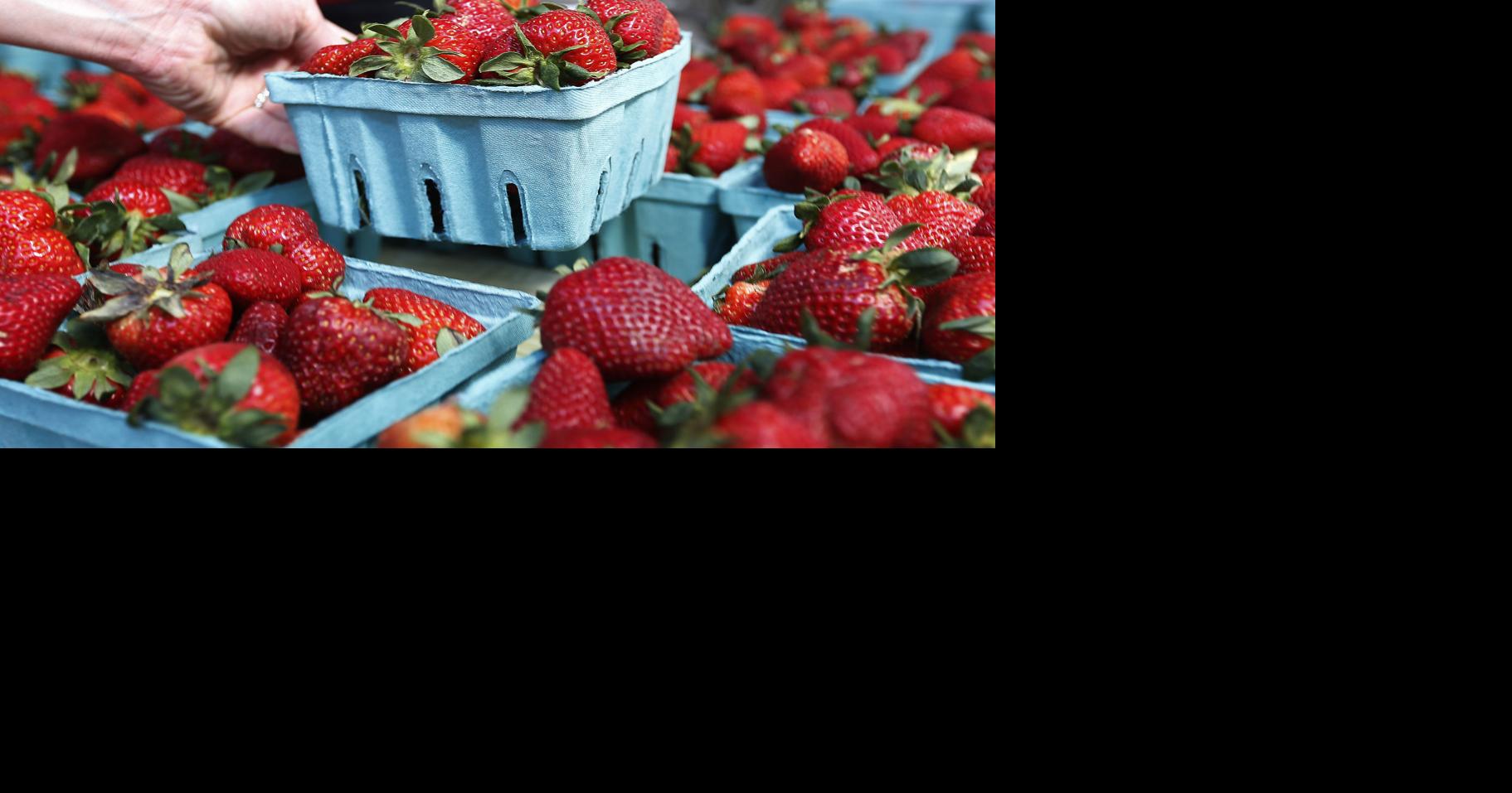 Top five weekend events: Flying Squirrels, Friday Cheers & Grace Potter