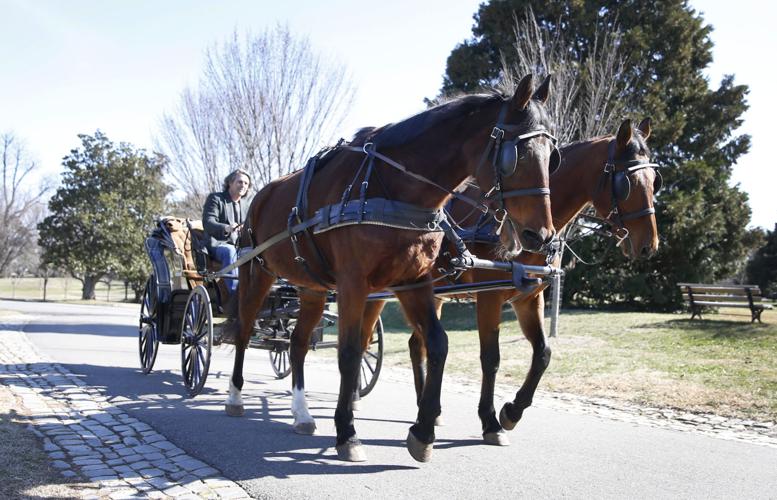 Maymont Farm to re-open March 26 with family-friendly festival