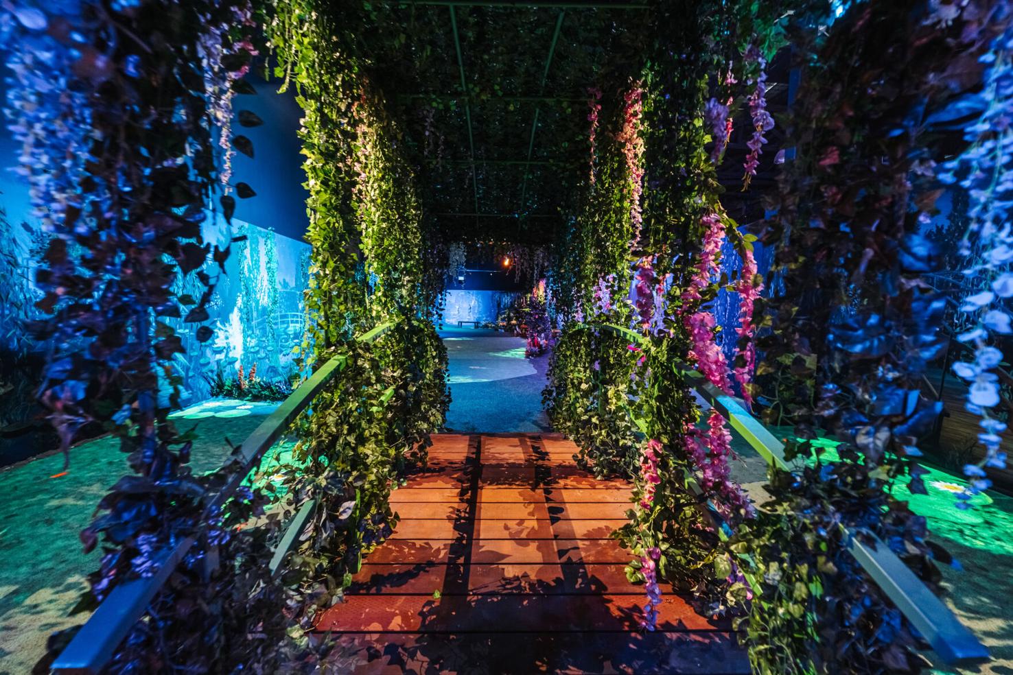 Claude Monet: The Immersive Experience in Richmond