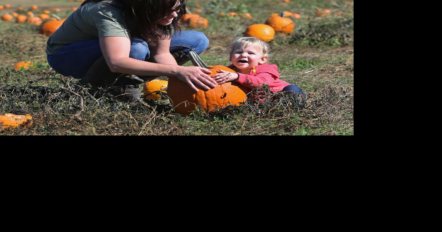 Richmond pumpkin patch guide 2017