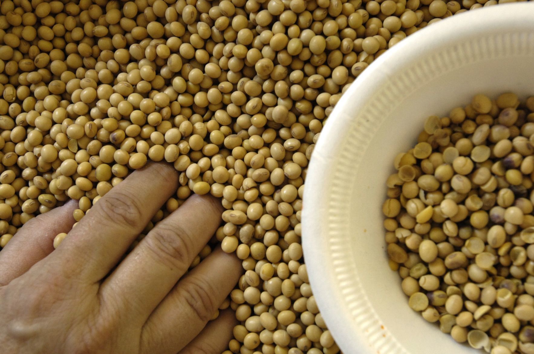 Trump could devastate VA soybean farmers – and the GOP